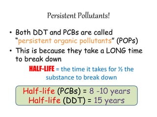 Bioaccumulation | PPT