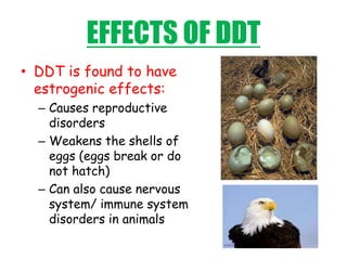 Bioaccumulation | PPT