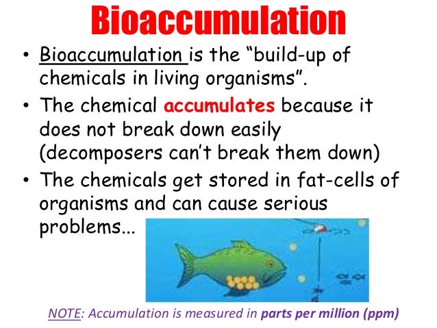 Bioaccumulation