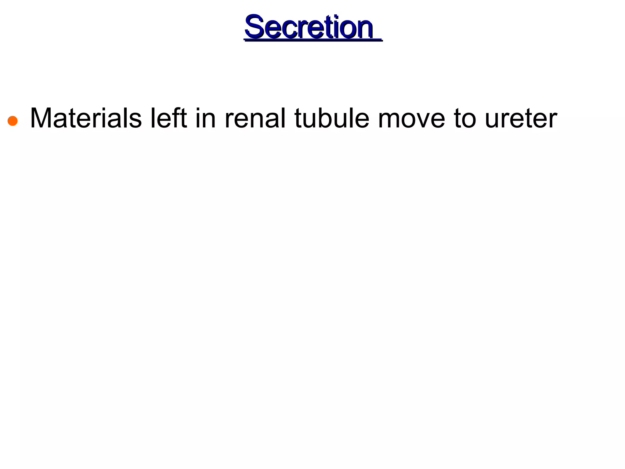 Ch 15 Excretory Sys Overview | PPT