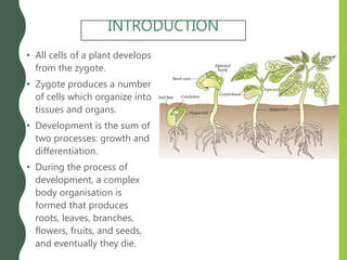 Chapter 15. Plant Growth and Development | PPTX