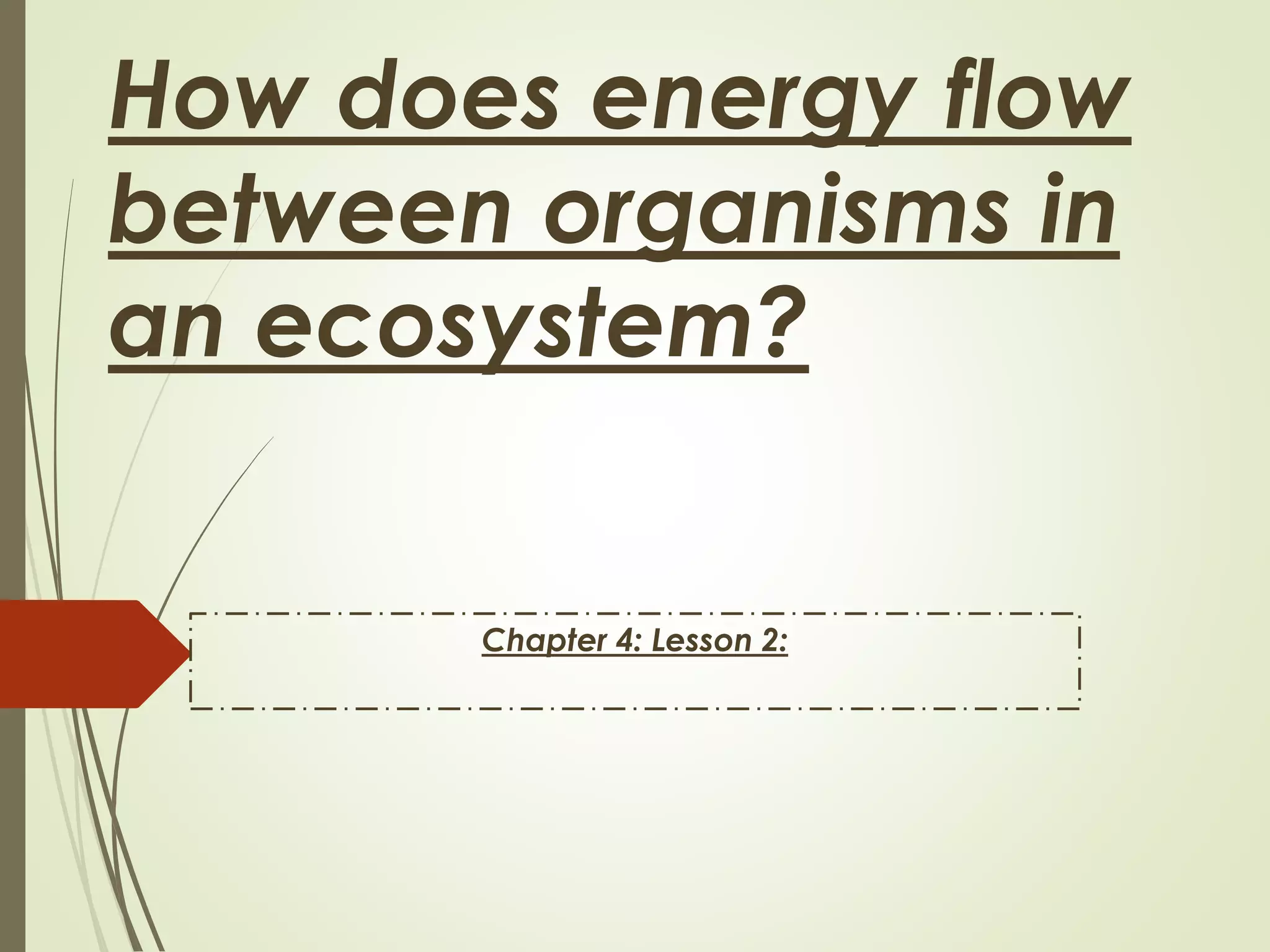 Ch.4.less.2.how does energy flow between organisms in an ecosystem | PPT