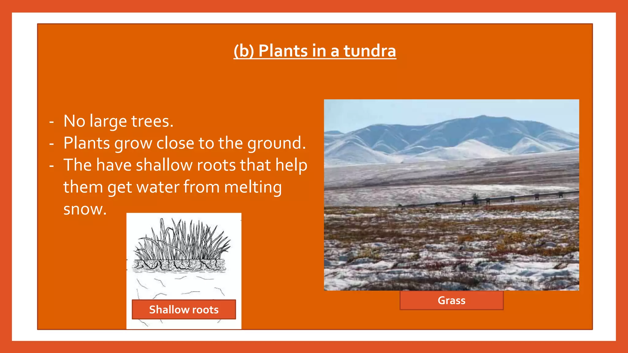 Ch.4.less.3.what are the characteristics of different biomes and ...
