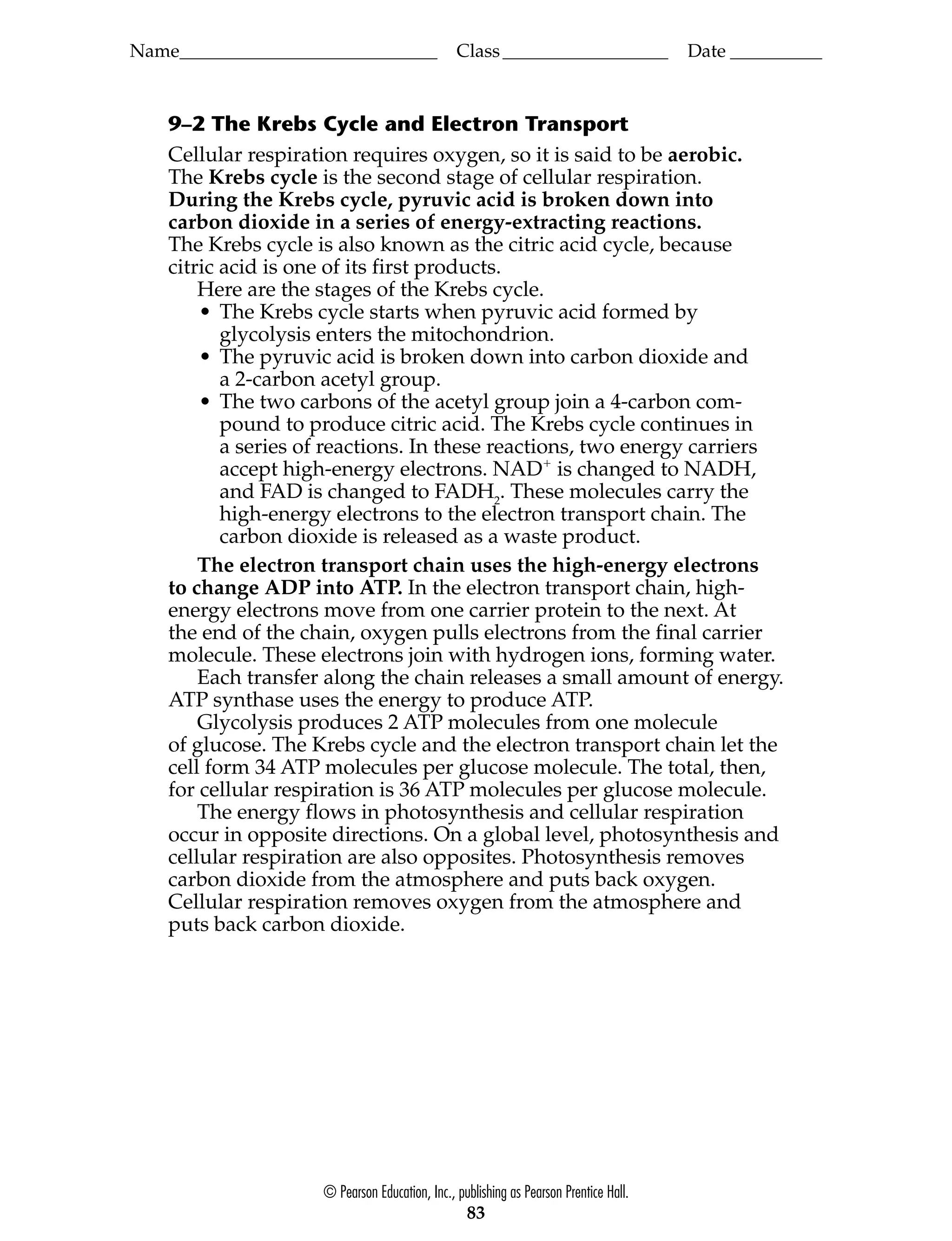 Ch. 9 Cellular Respiration Notes | PDF