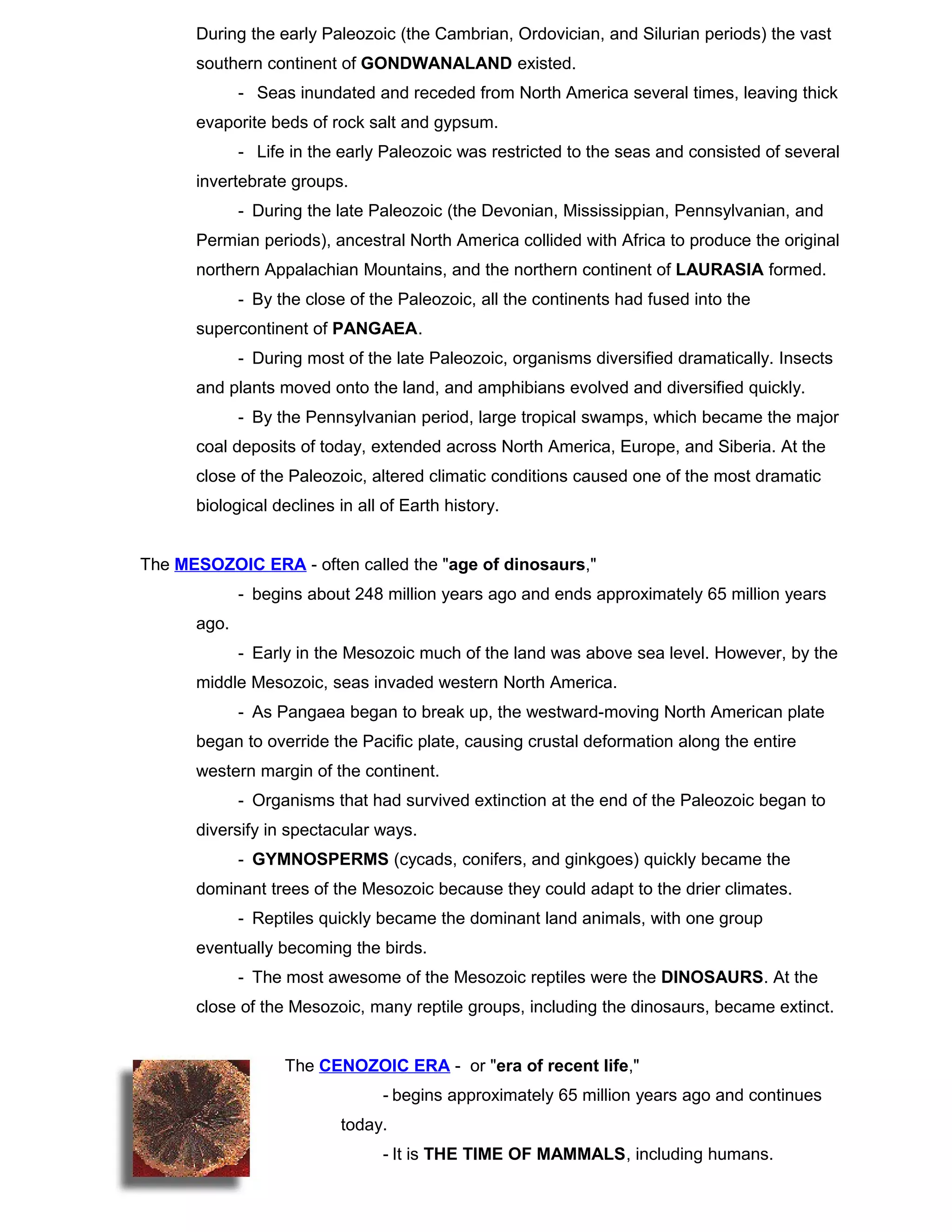 Earth's History Notes | DOC