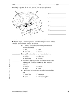 Ch. 35 Nervous System and Tissues Quiz | PDF