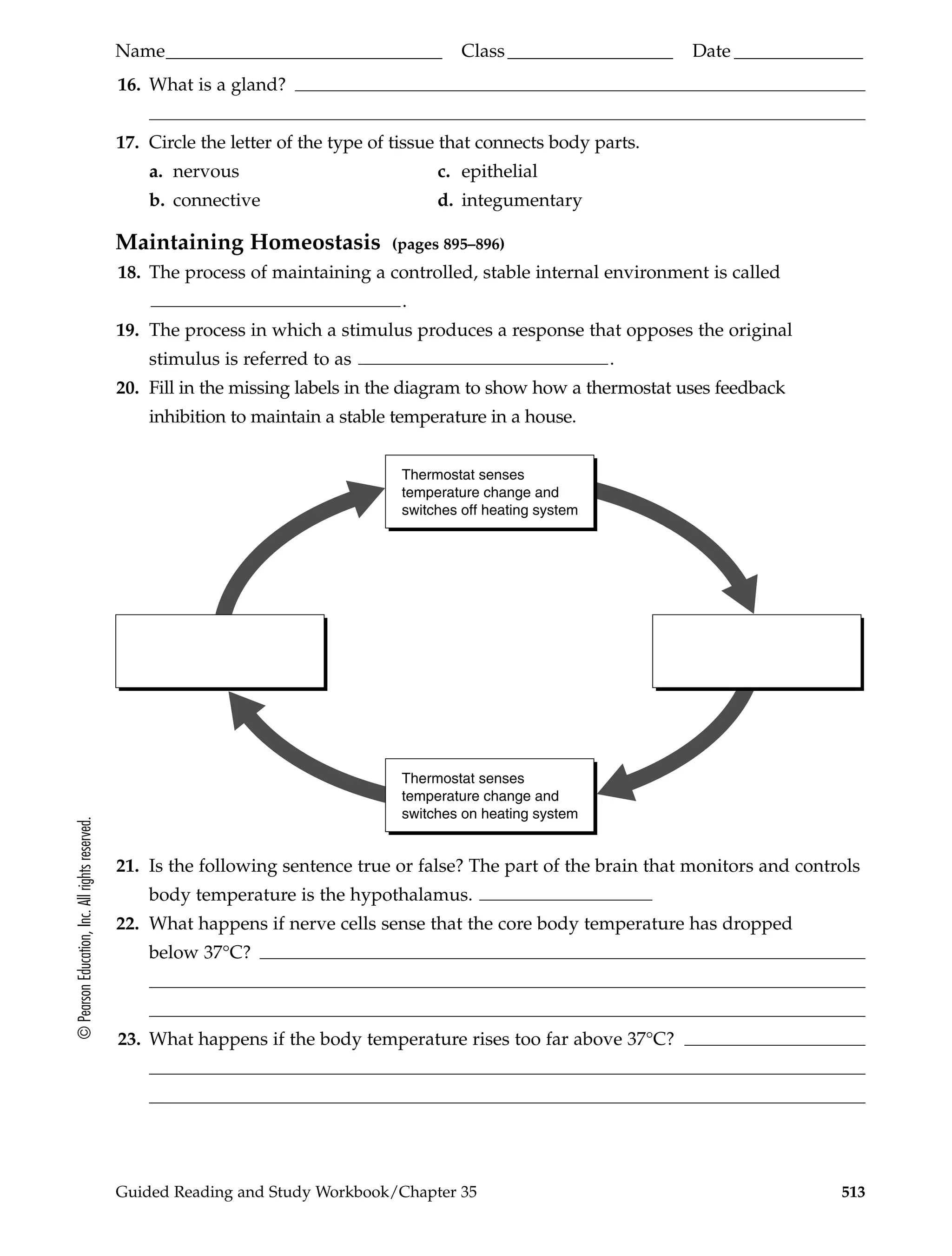 Ch. 35.1 human body systems ws | PDF