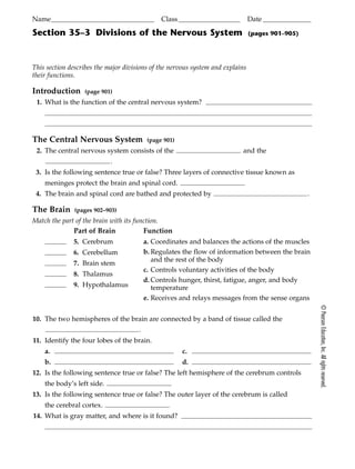 Ch. 35.3 divisions of nervous WS | PDF