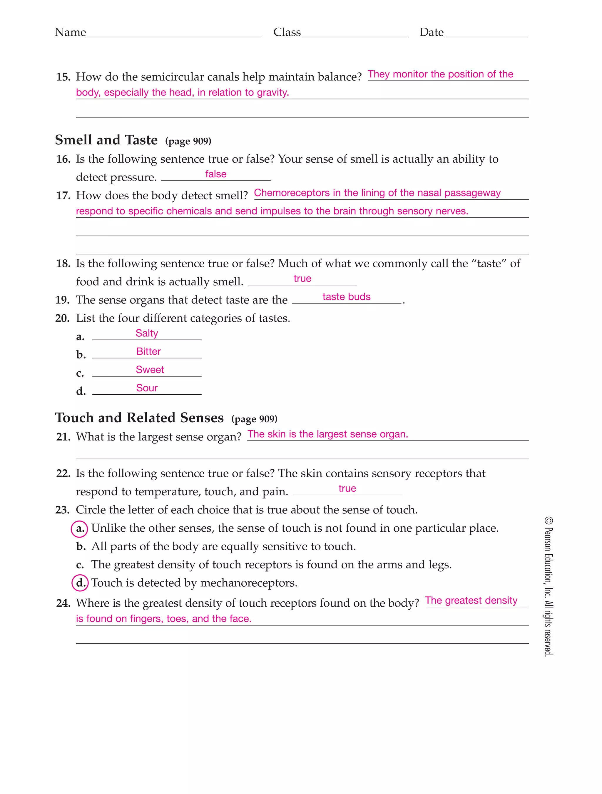 Ch. 35 senses ws Answers | PDF