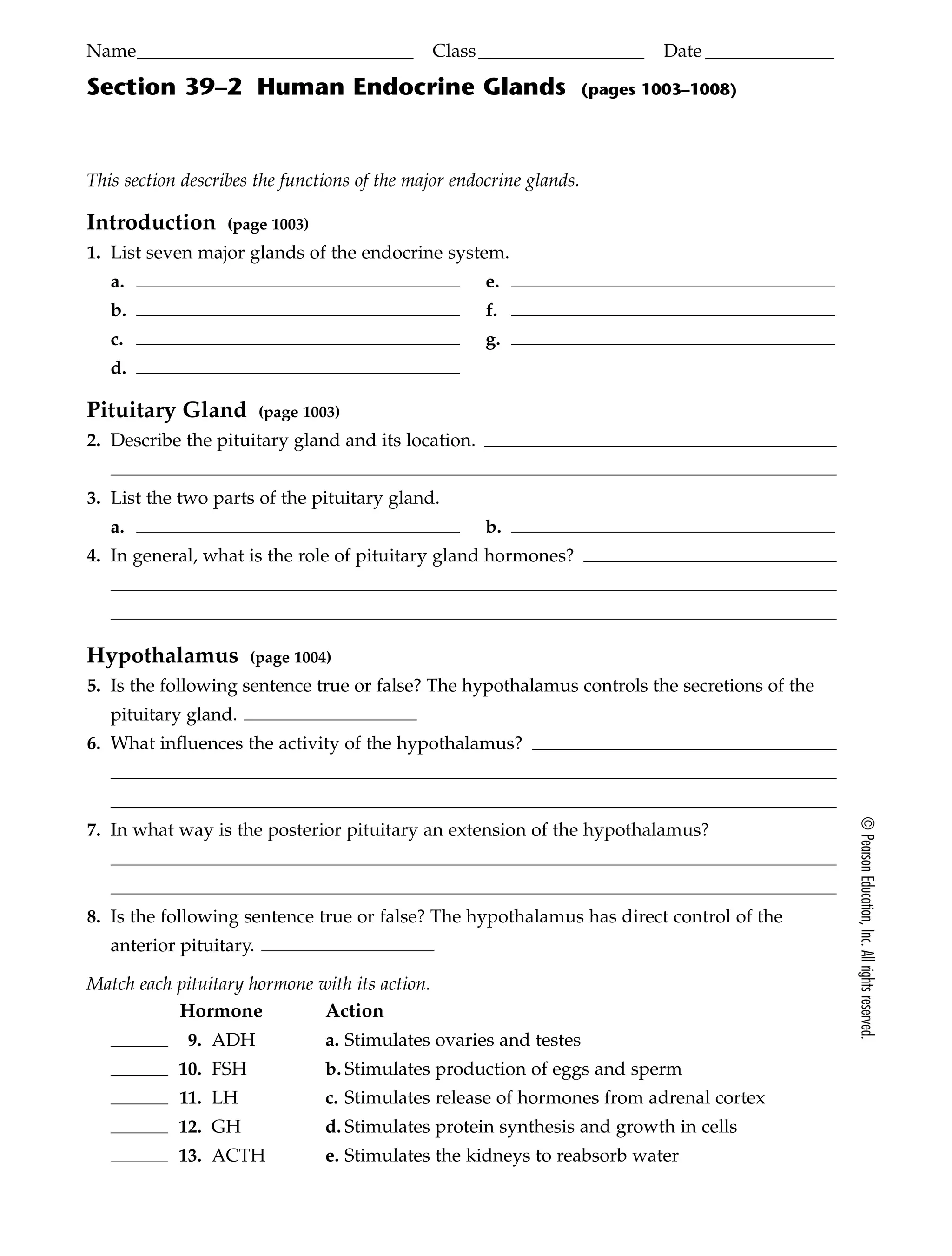 Ch. 39 2 glands and hormones WS | PDF