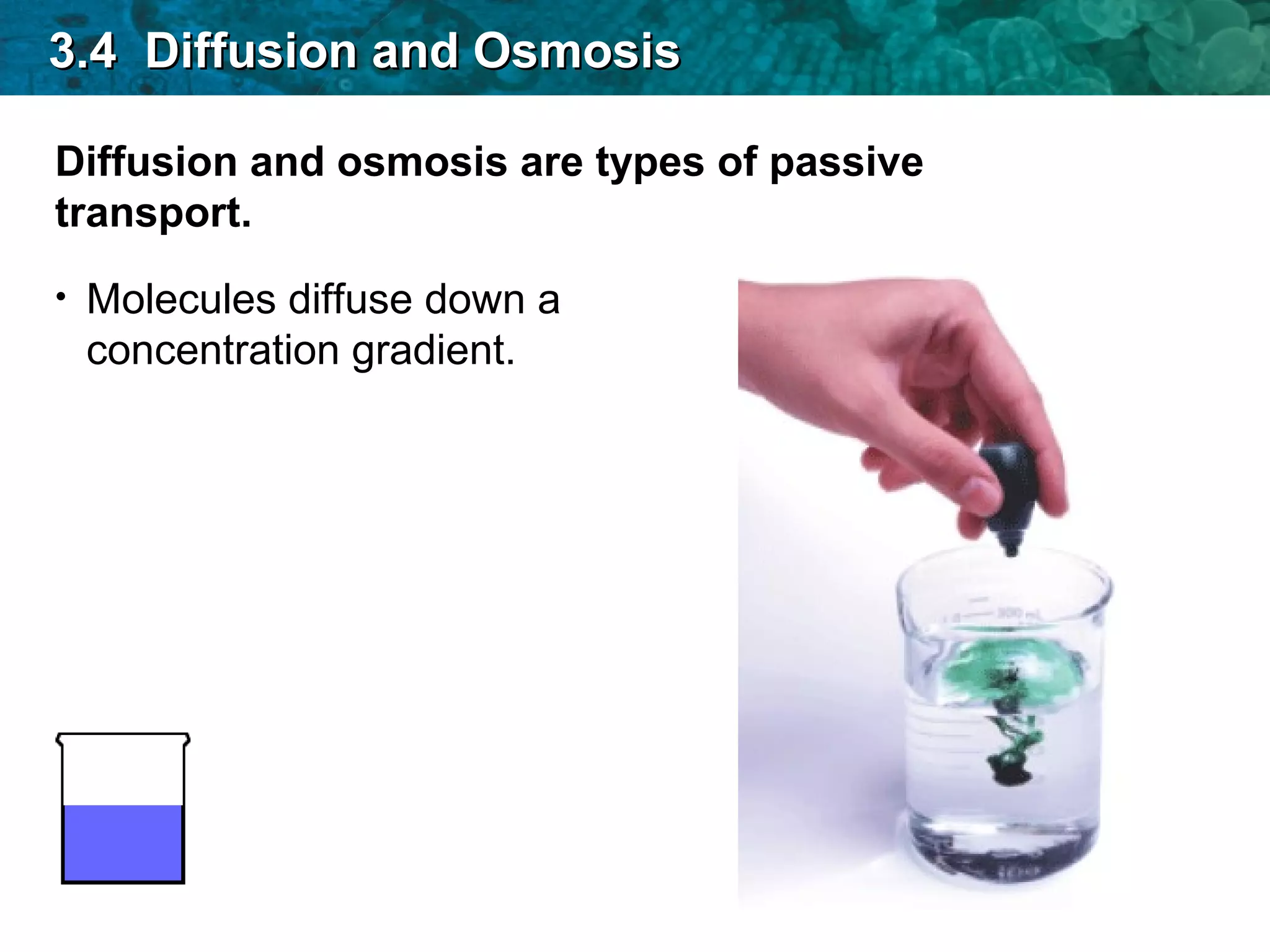 Ch.4 diffusion and osmosis By Hamdy Karim | PPT | Chemistry | Science