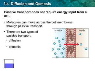Ch.4 diffusion and osmosis By Hamdy Karim | PPT | Chemistry | Science