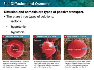 Ch.4 diffusion and osmosis By Hamdy Karim | PPT | Chemistry | Science