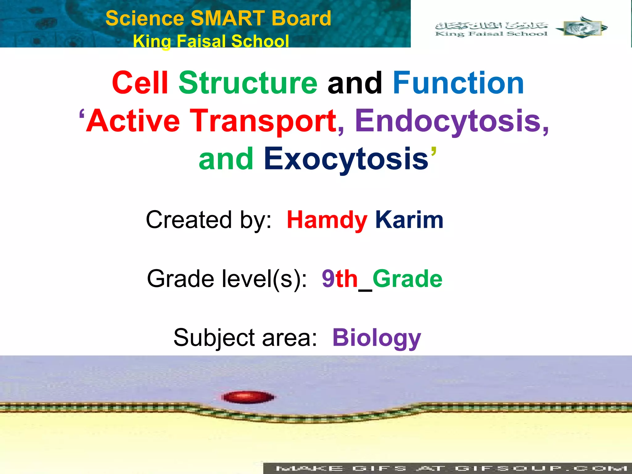 Ch.5 active transport, endocytosis, and exocytosis By Hamdy Karim | PPT ...