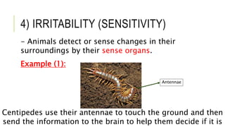 Ch.1.the characteristics of living things (biology) | PPTX