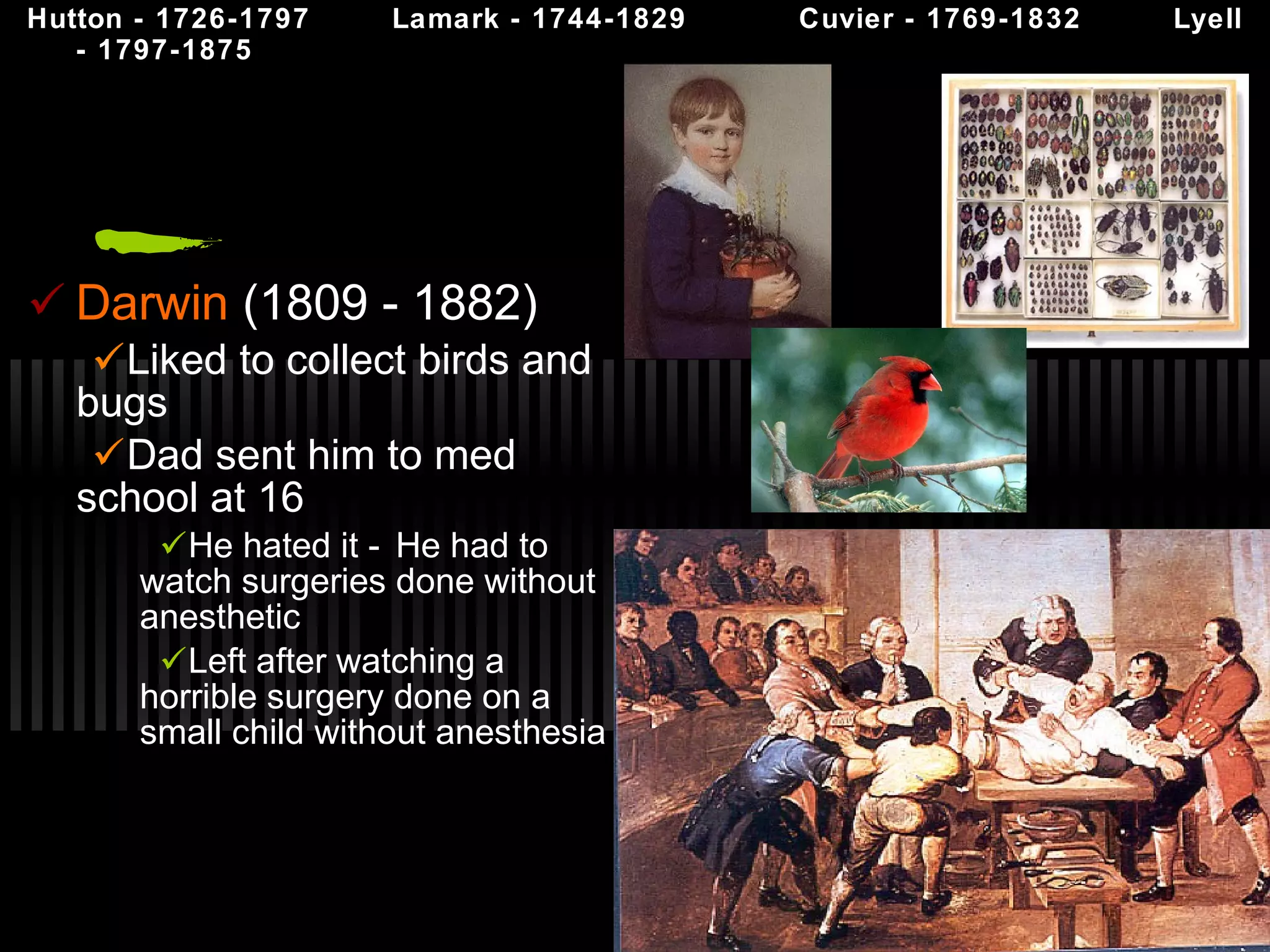 AP Biology Ch. 19 descent with modification | PPT