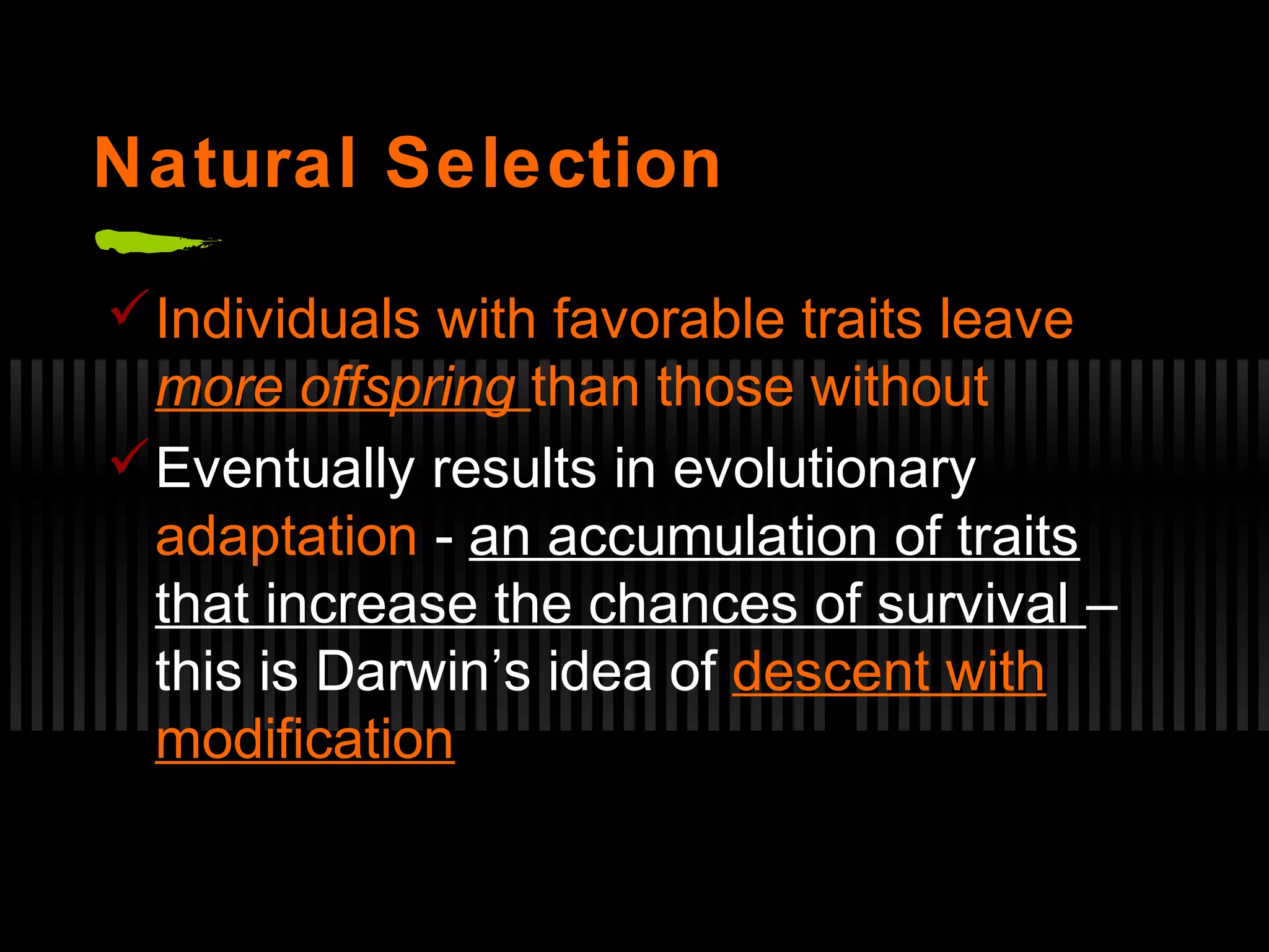 AP Biology Ch. 19 descent with modification | PPT