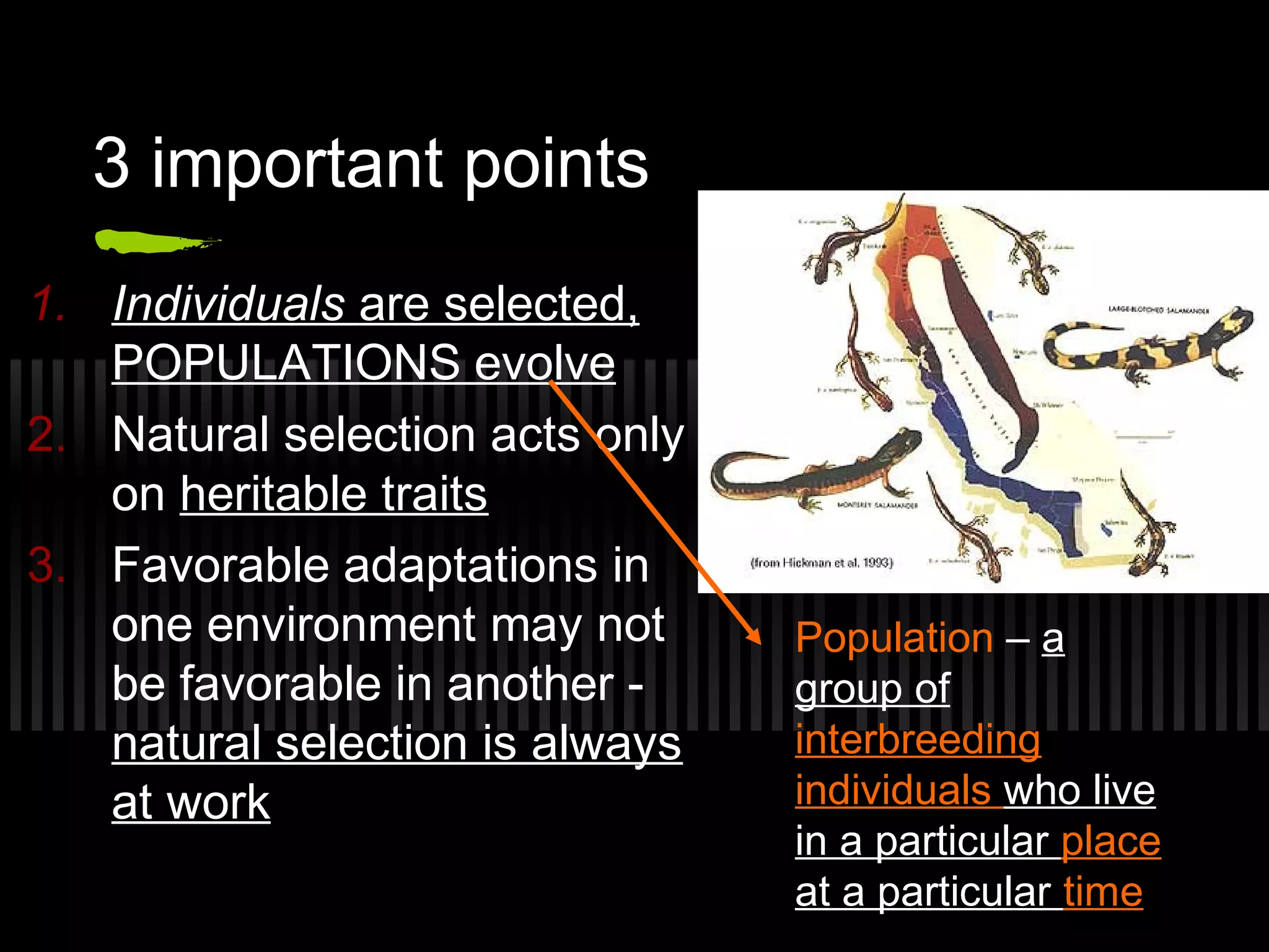 AP Biology Ch. 19 descent with modification | PPT