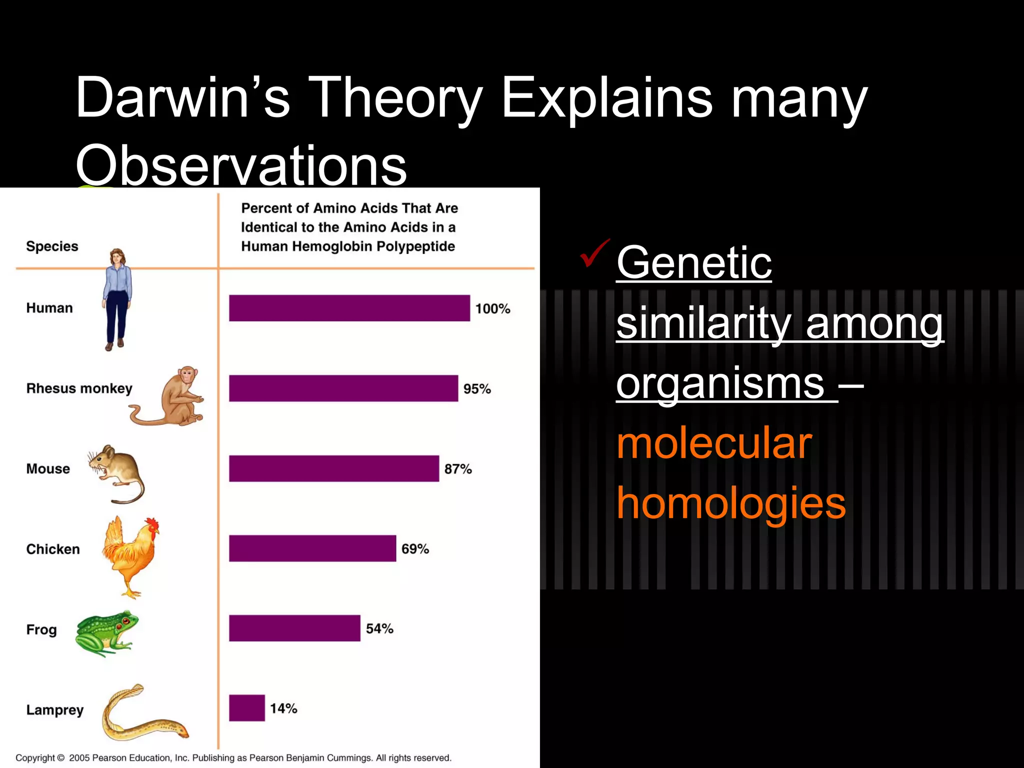AP Biology Ch. 19 descent with modification | PPT