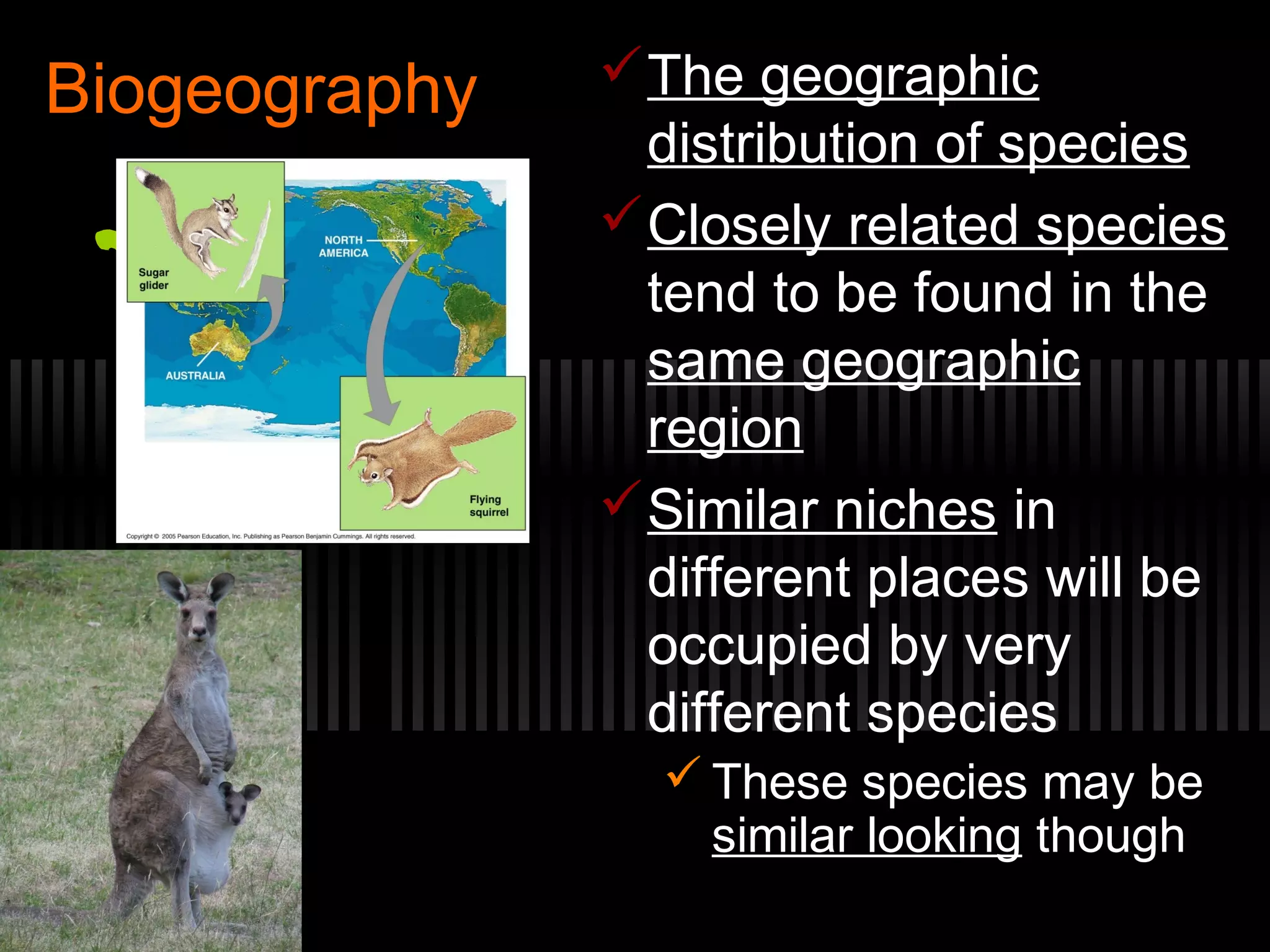 AP Biology Ch. 19 descent with modification | PPT