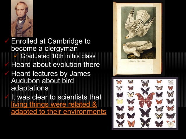 AP Biology Ch. 19 descent with modification | PPT