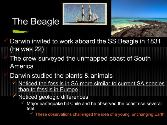 AP Biology Ch. 19 descent with modification | PPT