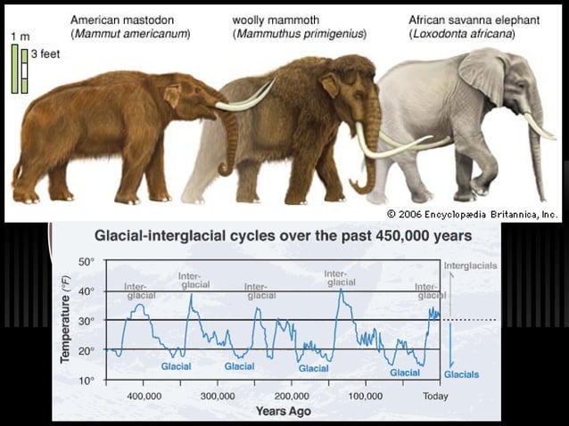 AP Biology Ch. 19 descent with modification | PPT