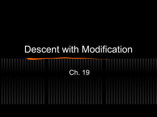 AP Biology Ch. 19 descent with modification | PPT