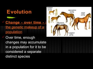 AP Biology Ch. 19 descent with modification | PPT