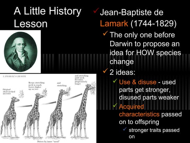 AP Biology Ch. 19 descent with modification | PPT