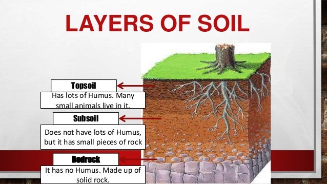 Ch.11.rocks and soil (part 2)