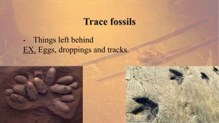Ch.12.finding the age of the earth | PPTX