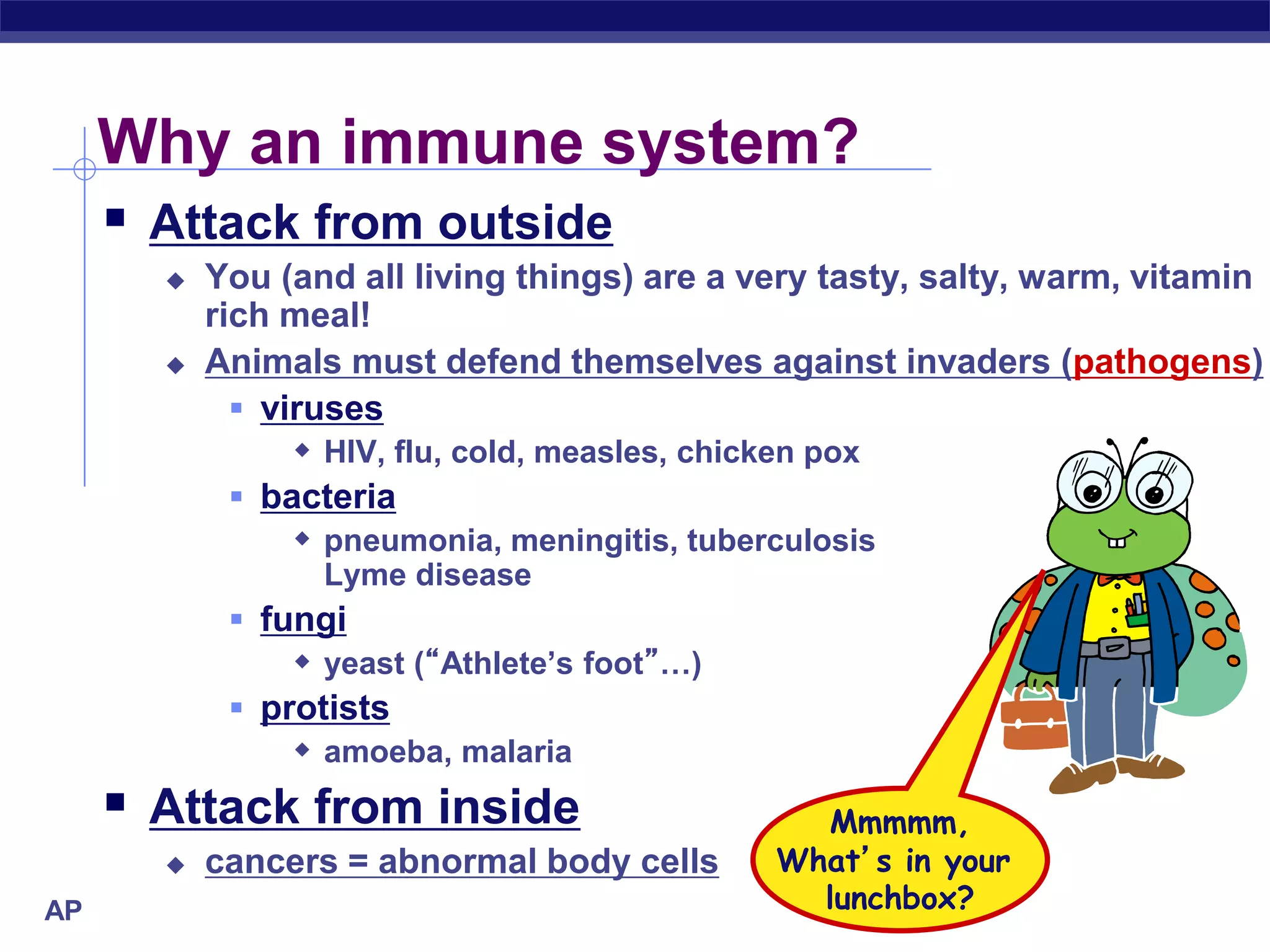 AP Biology Ch. 35 Immune System | PPTX