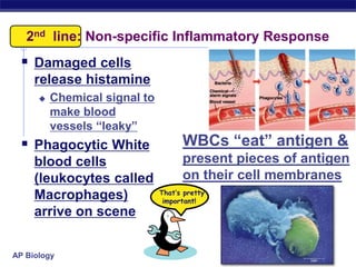 AP Biology Ch. 35 Immune System | PPTX