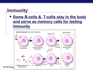 AP Biology Ch. 35 Immune System | PPTX