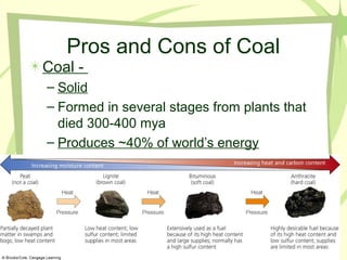 Coal Formation Stages