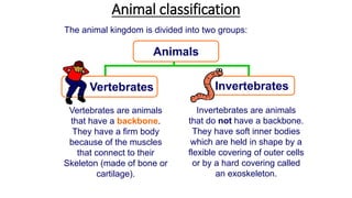 Ch.7.classification and variation | PPTX