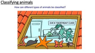 Ch.7.classification and variation | PPTX