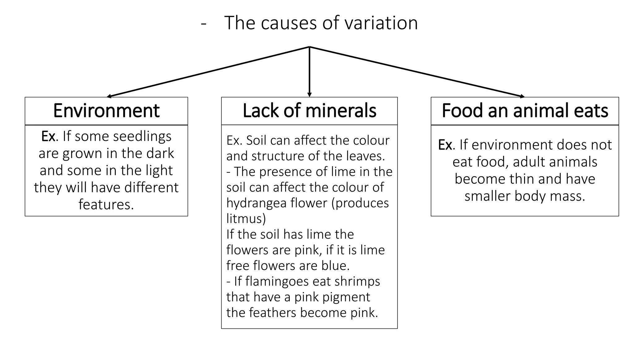 Ch.7.classification and variation (part 2) | PPTX