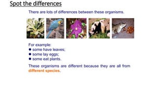 Ch.7.classification and variation (part 2) | PPTX