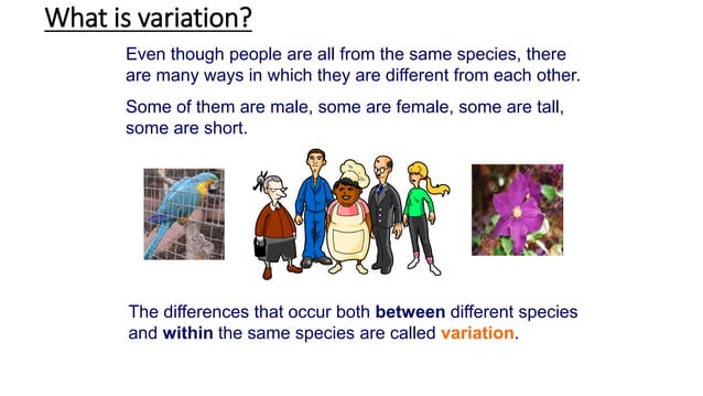 Ch.7.classification and variation (part 2) | PPTX