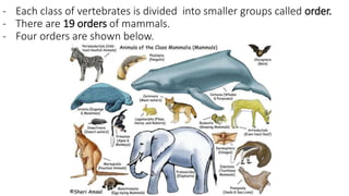 Ch.7.classification and variation (part 2) | PPTX