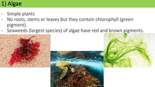 Ch.7.classification and variation (part 2) | PPTX