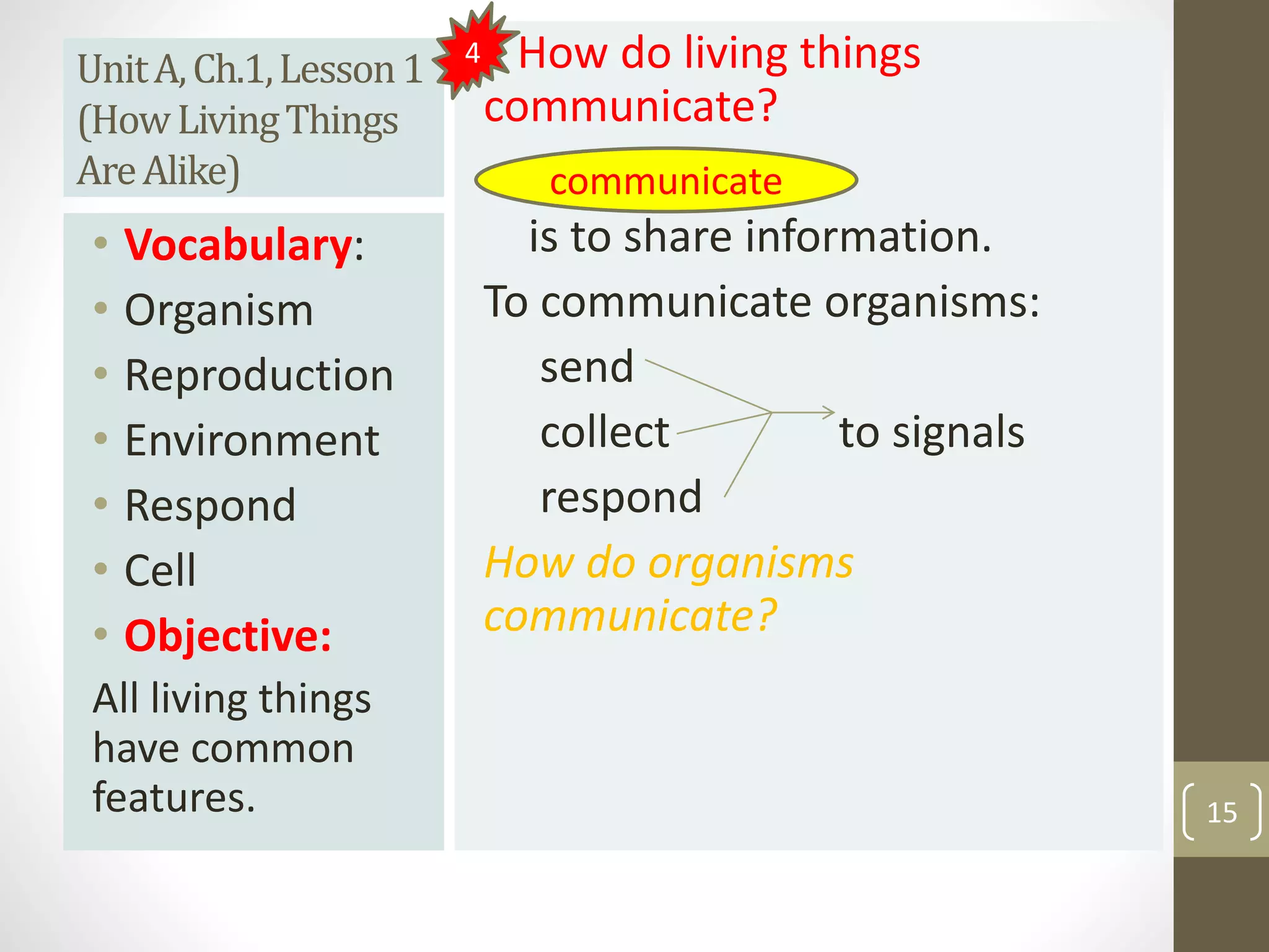 Ch.1,l1, how living things are alike | PPTX