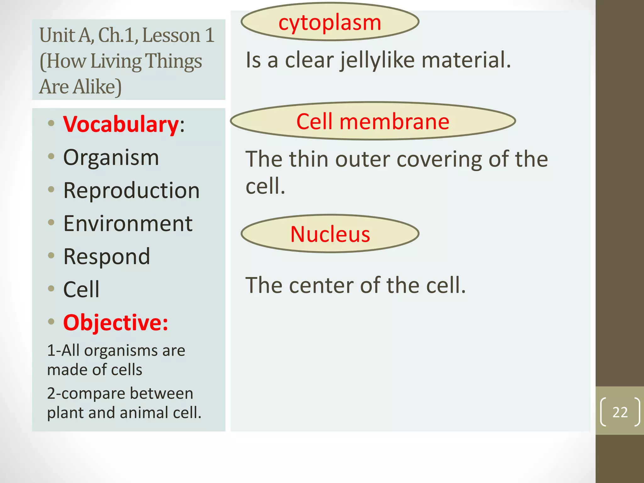 Ch.1,l1, how living things are alike | PPTX
