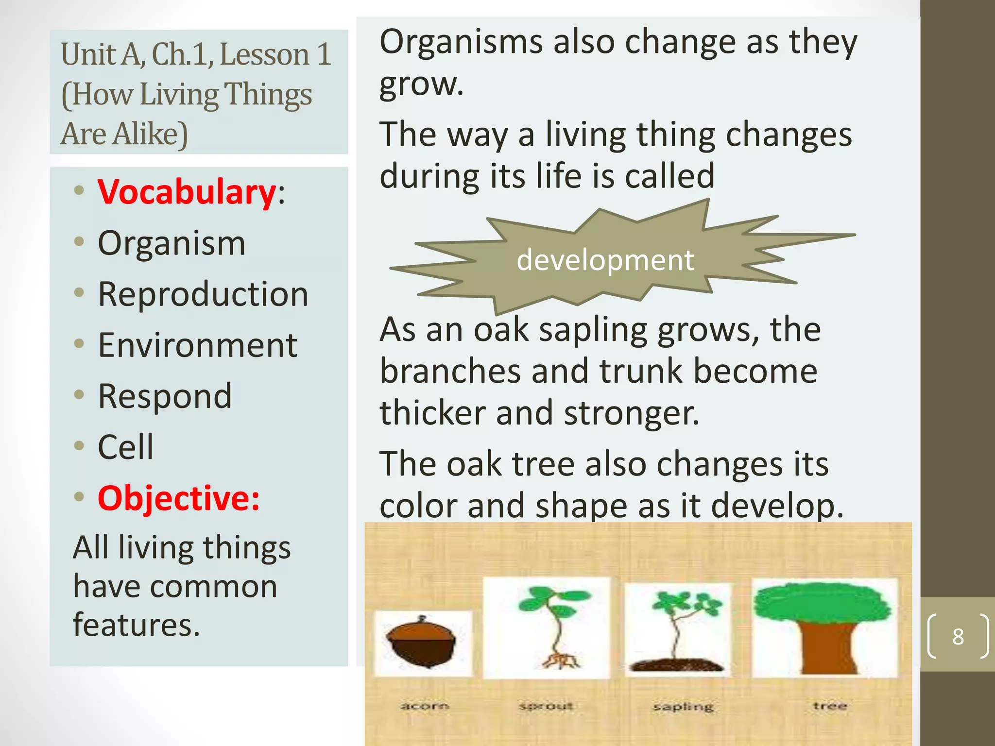 Ch.1,l1, how living things are alike | PPTX