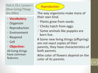 Ch.1,l1, how living things are alike | PPTX | Biological Sciences | Science
