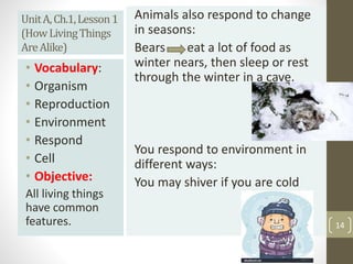 Ch.1,l1, how living things are alike | PPTX