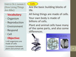 Ch.1,l1, how living things are alike | PPTX | Biological Sciences | Science