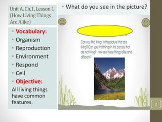 Ch.1,l1, how living things are alike | PPTX